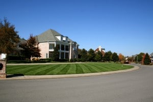 Lawn Care Company | Create a Healthy Lawn | Advanced Lawn Solutions